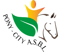 Réseau SAM - Pony-City