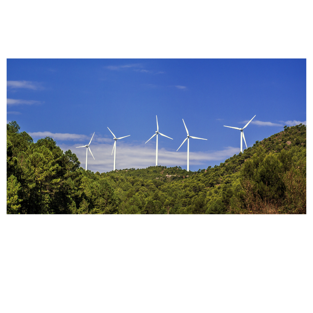 Réseau SAM - Client protégé conjoncturel